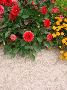 Shale - mineral mulch for the garden