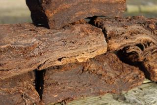 Plants and vegetables for sandy soil - how to amend sand to make it richer