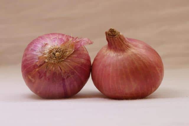 Onion benefits for health and body care, how to prepare it