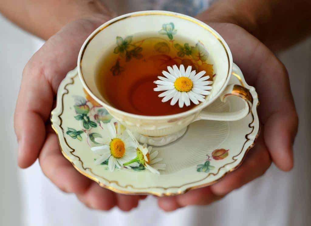 Chamomile - growing, harvest and health benefits and therapeutic value