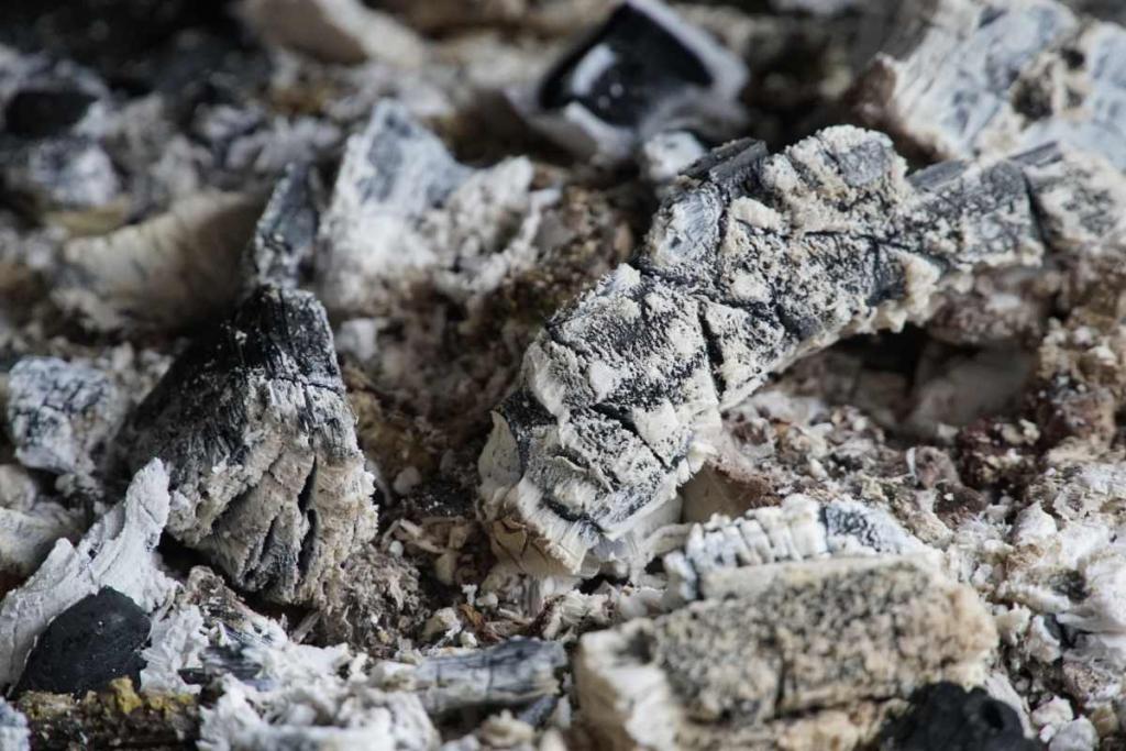 Using ashes in the garden - fertilizer and slug repellent