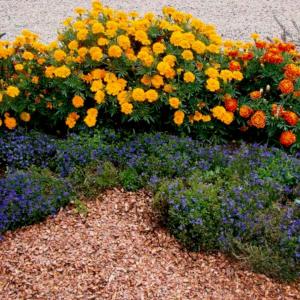 Shale - mineral mulch and ornaments for the garden