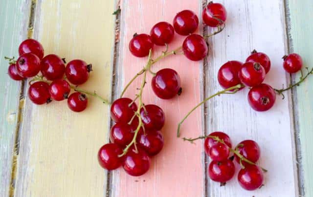 Red currant - care, pruning and harvest