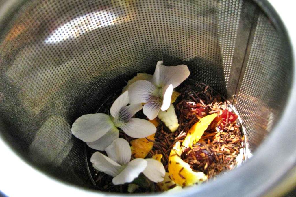 Violet - health benefits and therapeutic value