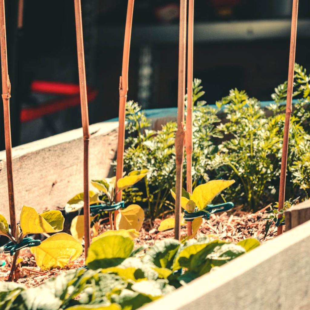 Landscaping narrow gardens, tips to go from boring to beautiful