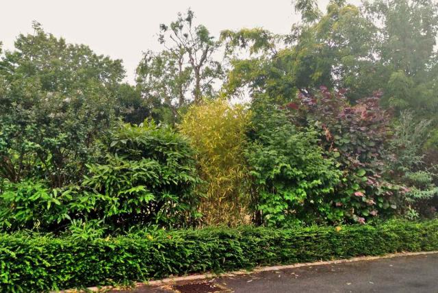 Mixed hedge, a natural option with so many advantages