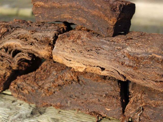 Peat - purpose, origin, extraction, uses and alternatives