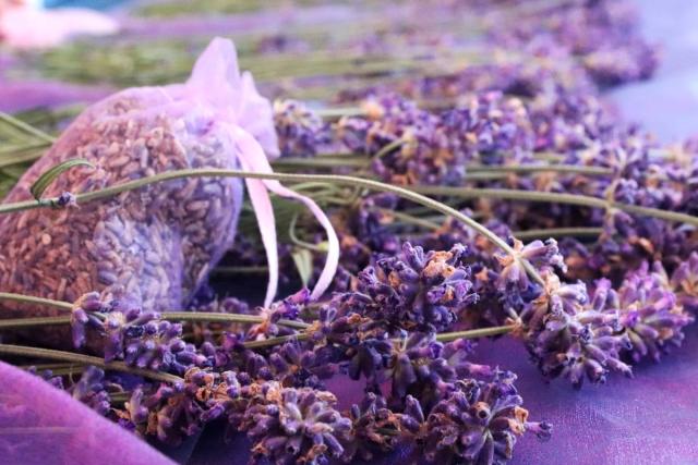 Why lavender names are so confusing - and how to make it clear