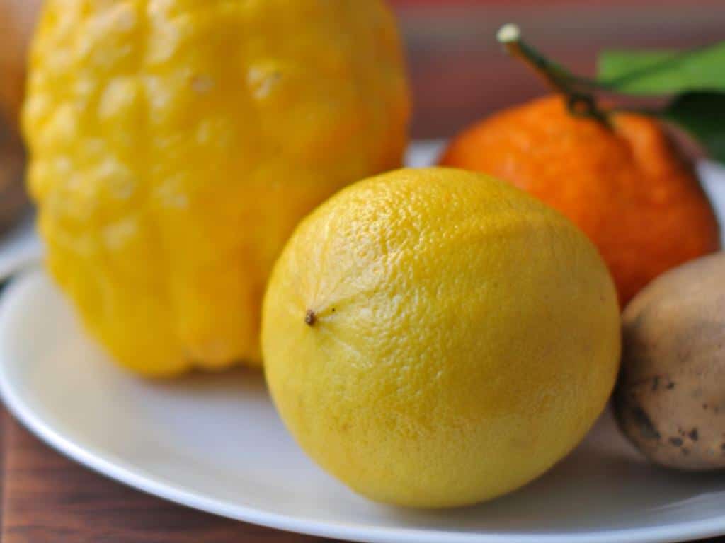 Bergamot and bergamot tree - guide for proper care