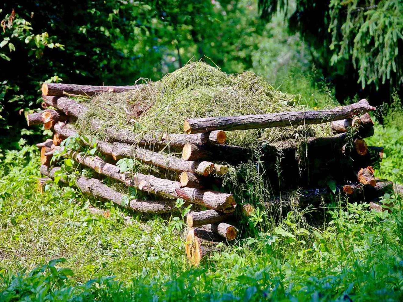 Bordeaux mixture - an effective organic treatment, but don't overdo it!