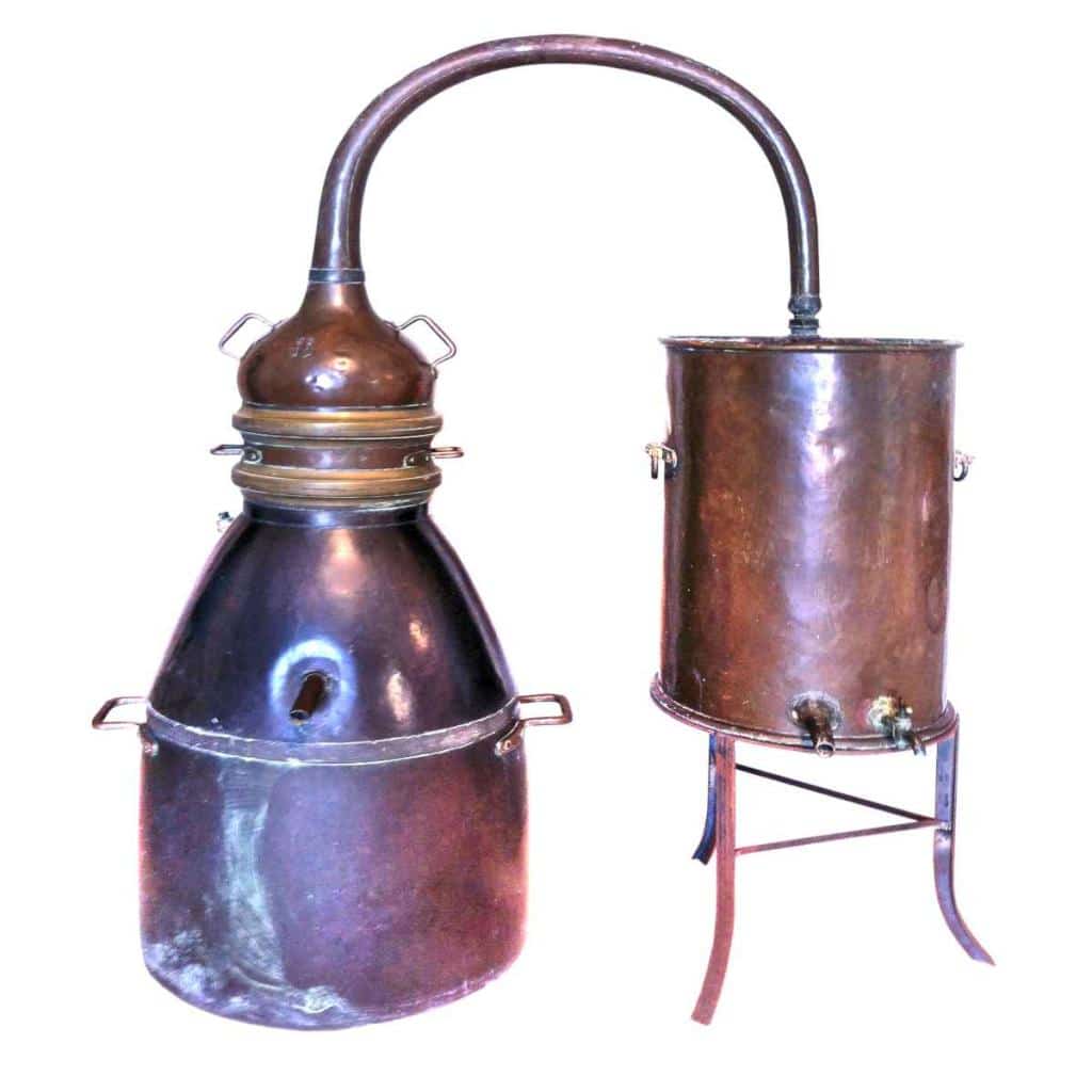 How to make lavender essential oil, 2 methods: distillation, infusion