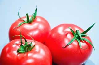 Tomatoes without stakes or cages, grow directly on the ground!