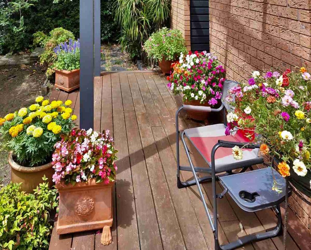 Container garden - tips and ideas