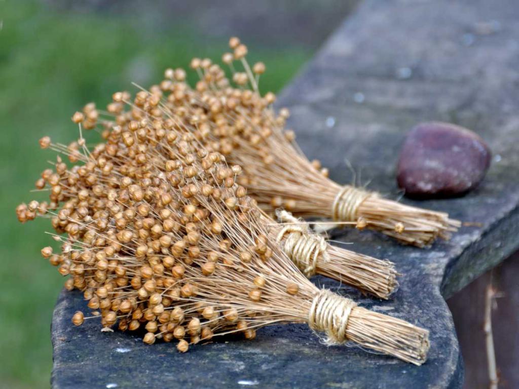 Flaxseed benefits, cancer protection and anxiety relief