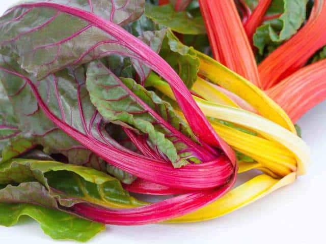 Silverbeet, its stems regenerate cells and fight ageing