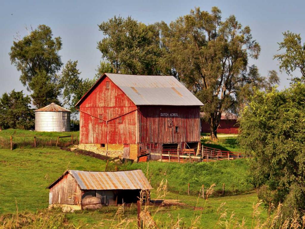 3 powerful reasons to try WWOOF – Nature & Garden