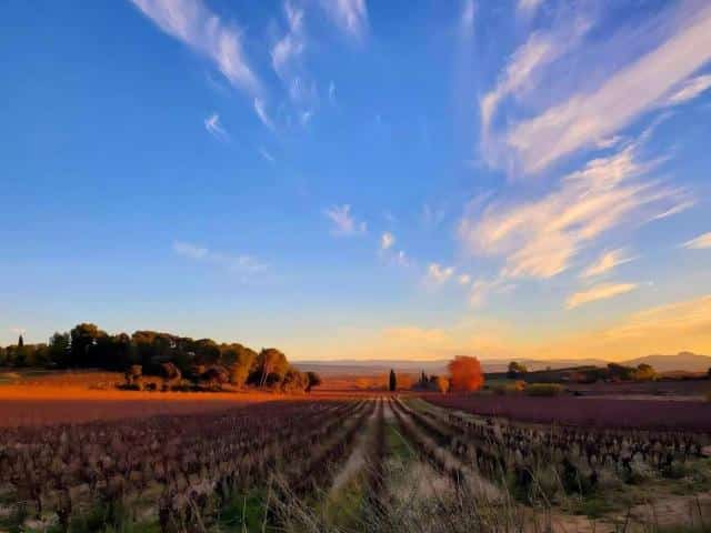 What is WWOOF? A farm experience based on sharing!