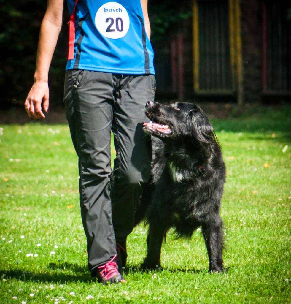 Canicross: the ultimate running adventure with your dog – Nature & Garden
