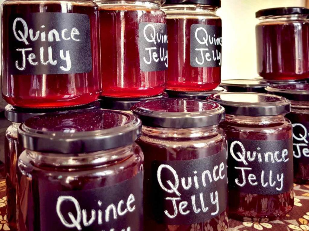 Quince jelly, a recipe for a delicious tasty spread – Nature & Garden