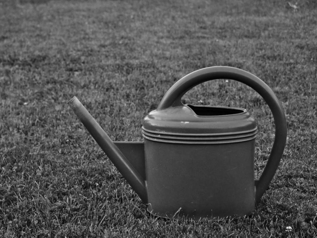 Garden watering systems, 6 ideas for pots, beds and lawns