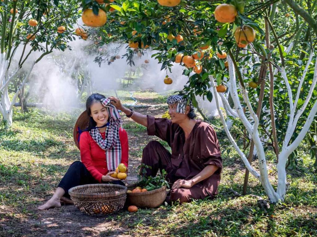 Whitewashing trees: when and how