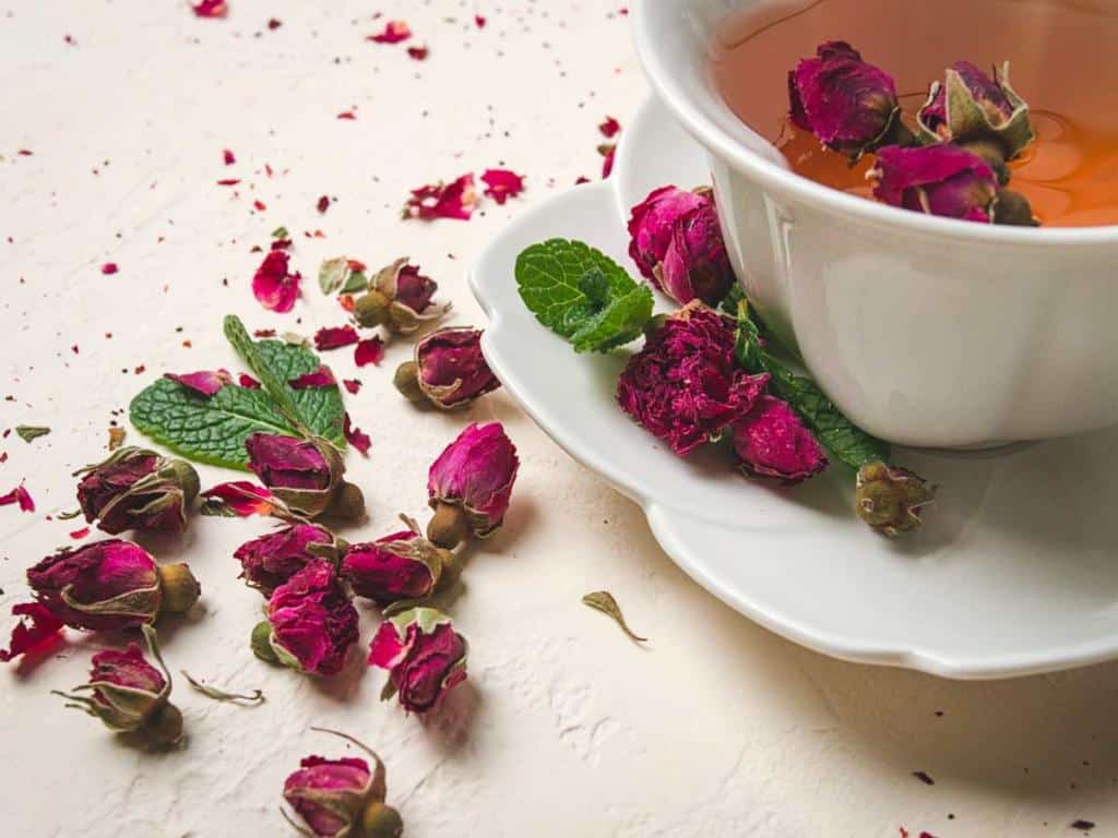 Rosa damascena, the fragrant damask rose: varieties, uses, care